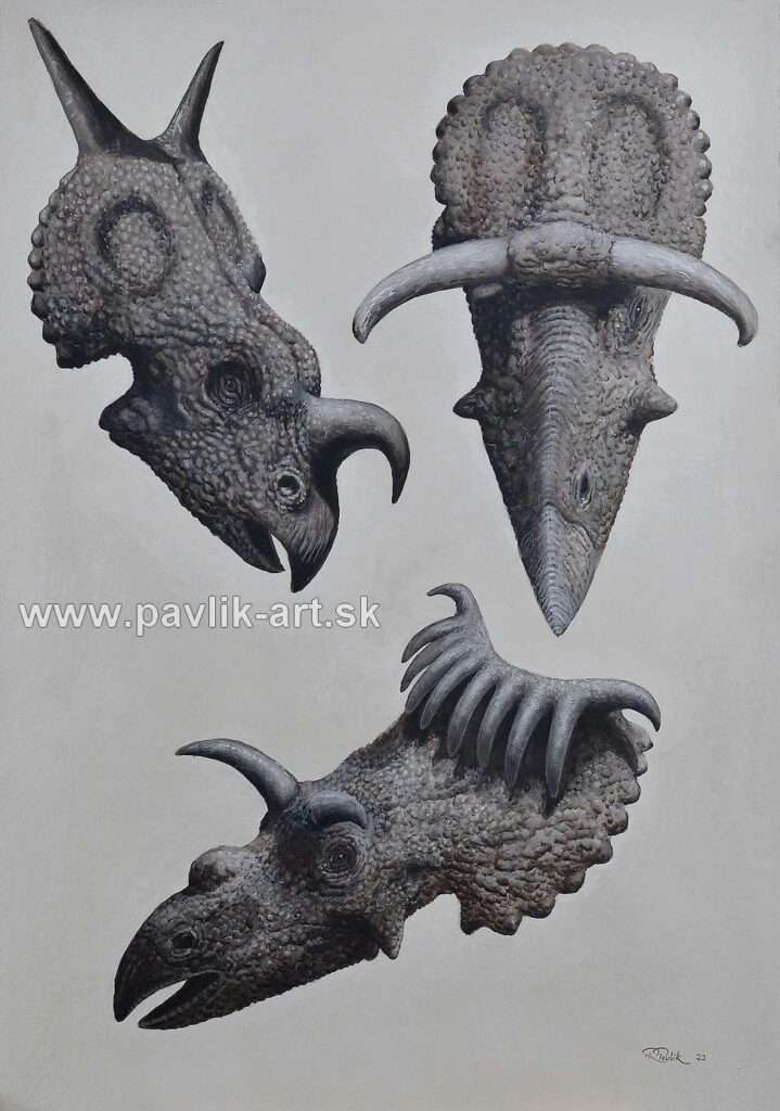 Paleoart - PAVLIK ART